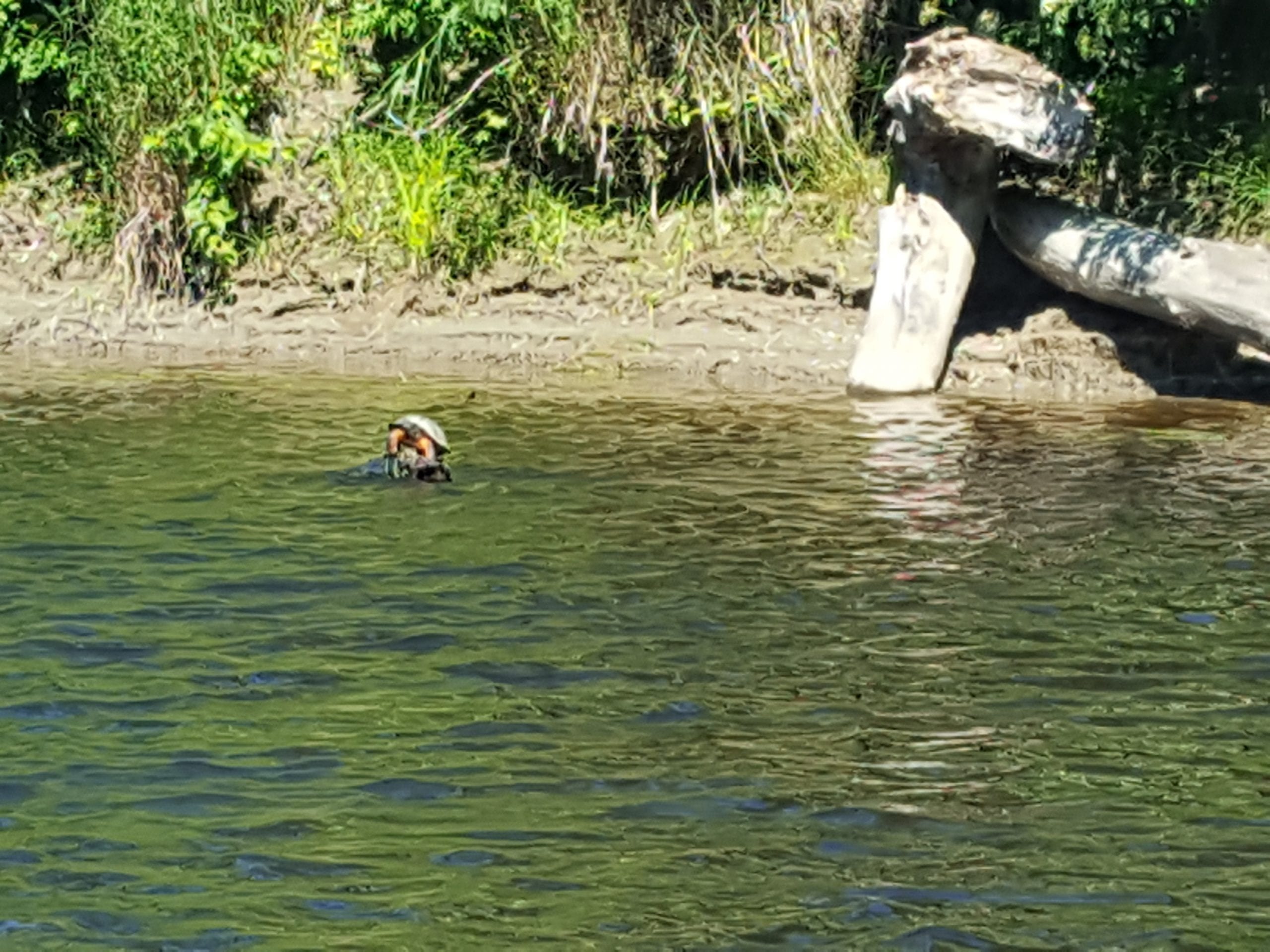 Canoeing the Moose River Loop | Bow Trip: Day 3, Part One – UNTAMED Mainer