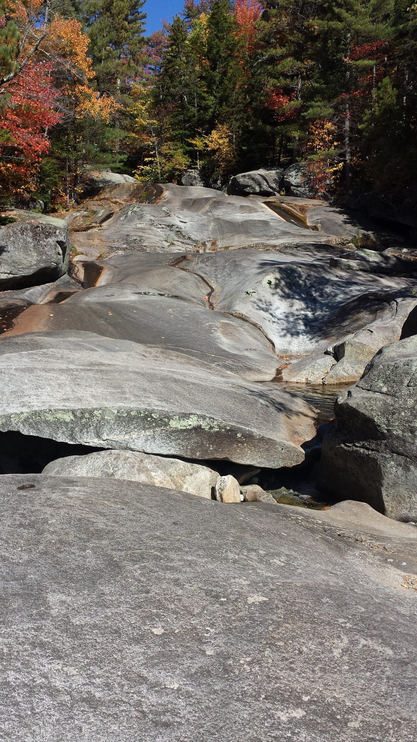 Step Falls, Newry Maine: Great Family Waterfall Hike » UNTAMED Mainer