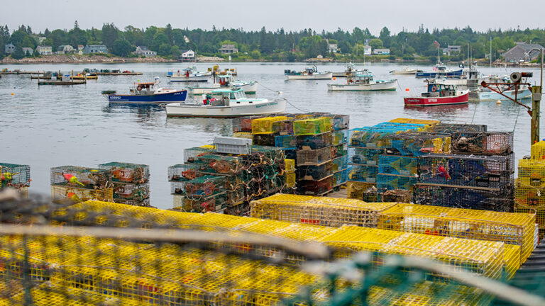 Maine Summer Events: August 2024 » UNTAMED Mainer