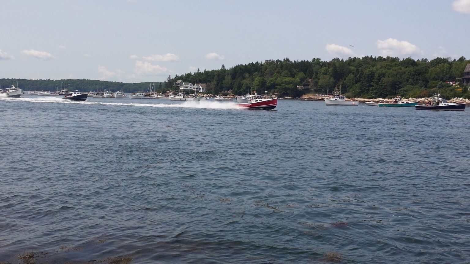 2026 Maine Lobster Boat Races » UNTAMED Mainer