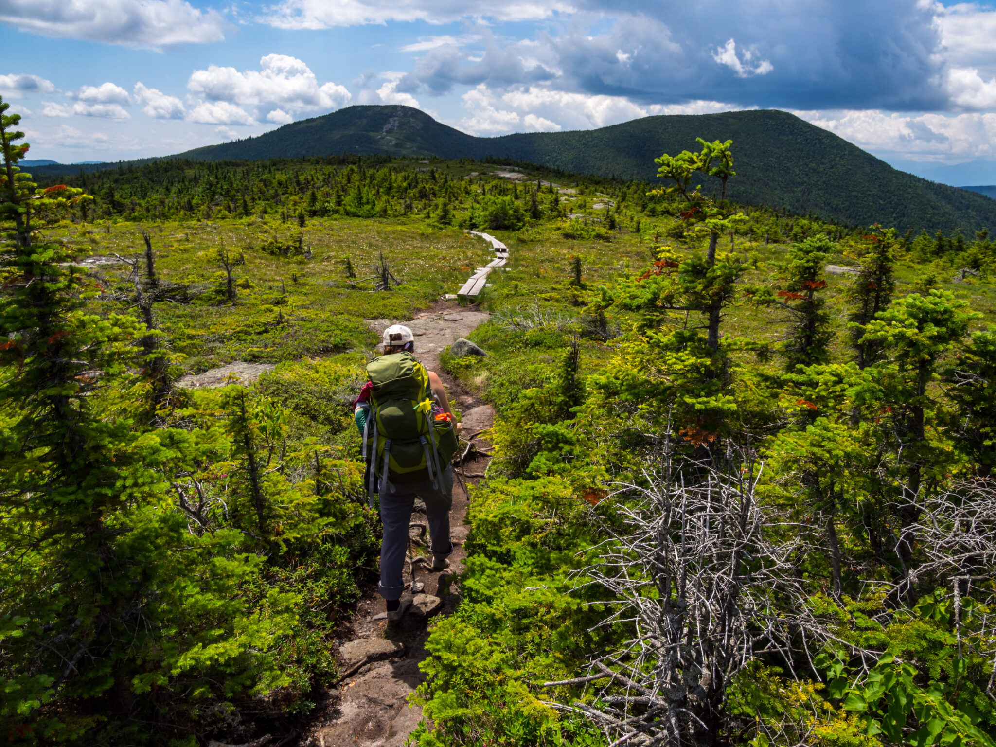 Maine Events in June 2026 » UNTAMED Mainer