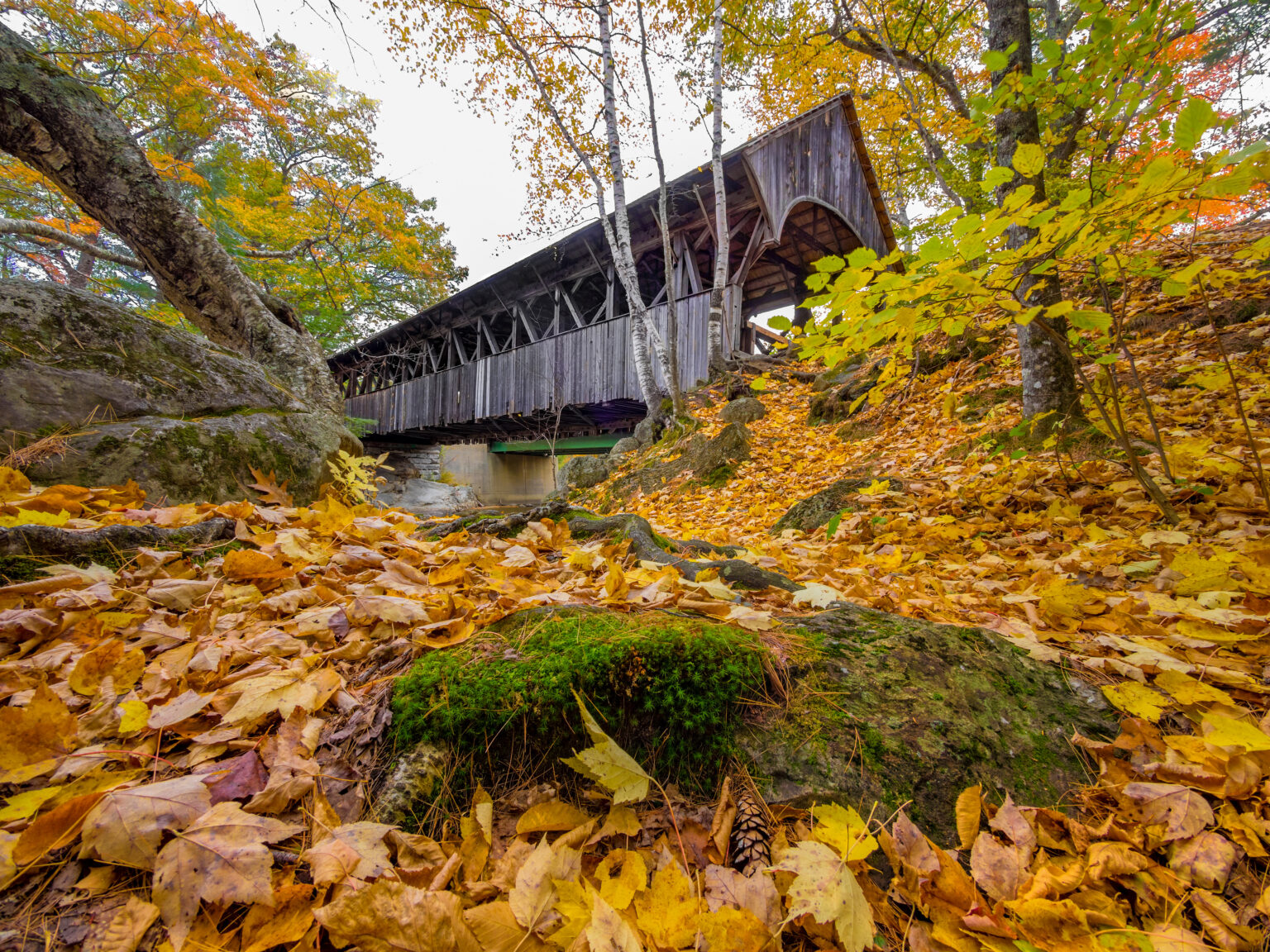 Maine Events in September 2025 » UNTAMED Mainer