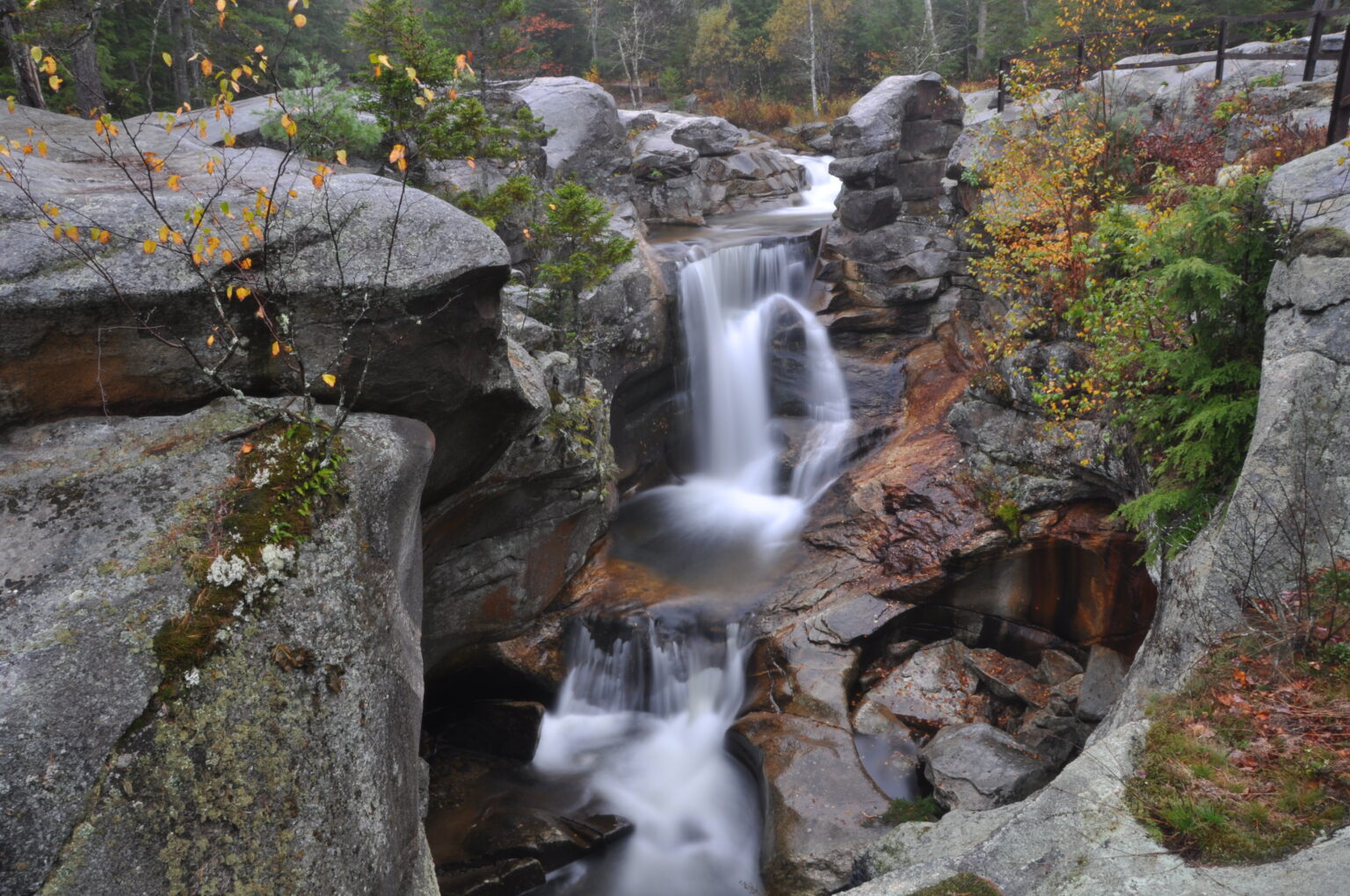 2026 Maine Events Calendar » UNTAMED Mainer