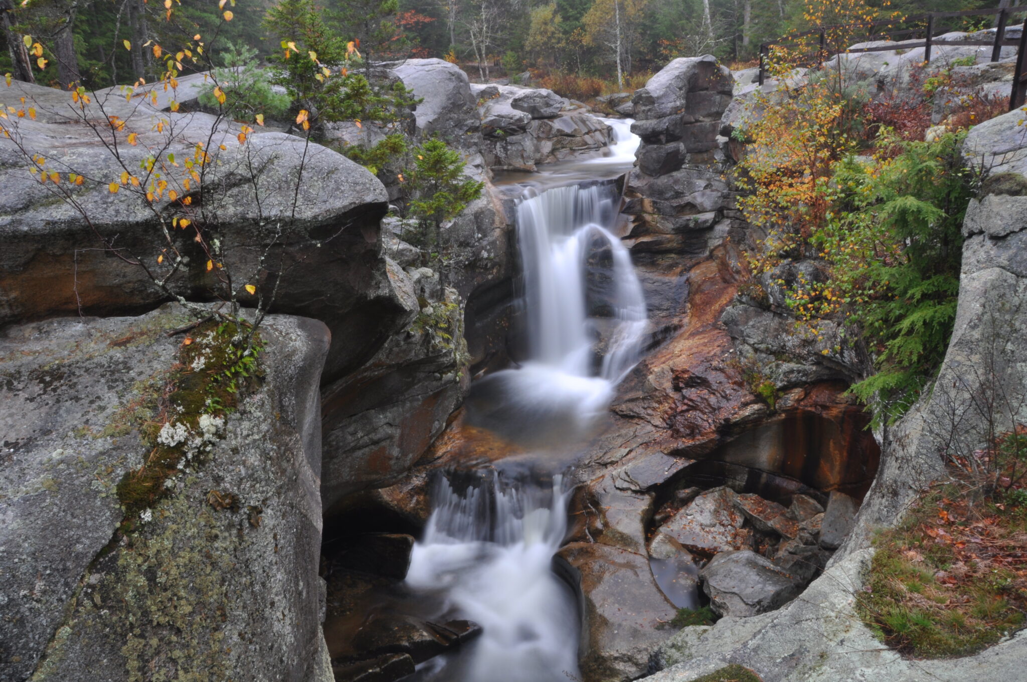 2026 Maine Events Calendar » UNTAMED Mainer
